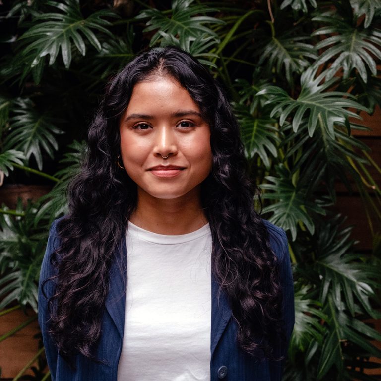 Developing Diversity - ICAN Learn